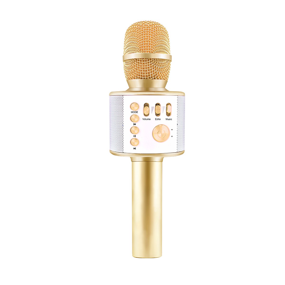 Micro et haut-parleur Bluetooth 5W - microphone sans fil pour la fête ...