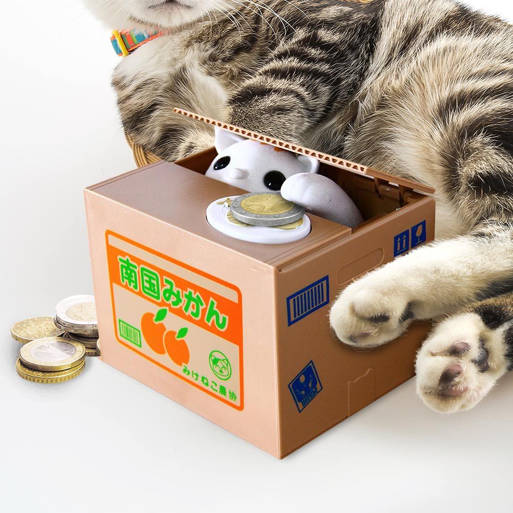 Electronic cash box - box for coins (money) KITTEN | Cool Mania