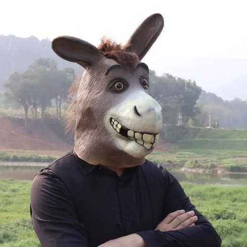 Donkey mask - silicone face / head mask donkey for kids and adults ...