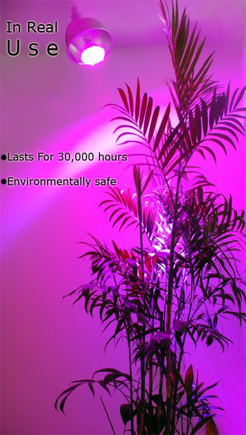 NASA lamp for plants | Cool Mania