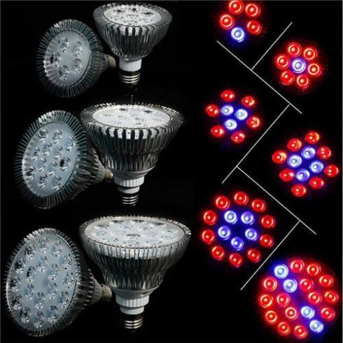 LED bombilya para sa halaman 21W (7x3W) | Cool Mania